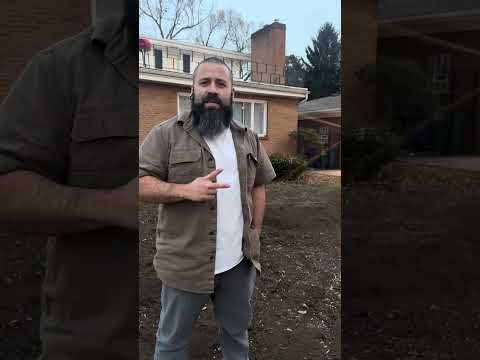 Tree Service Buffalo NY | Buffalo Tree Soldiers